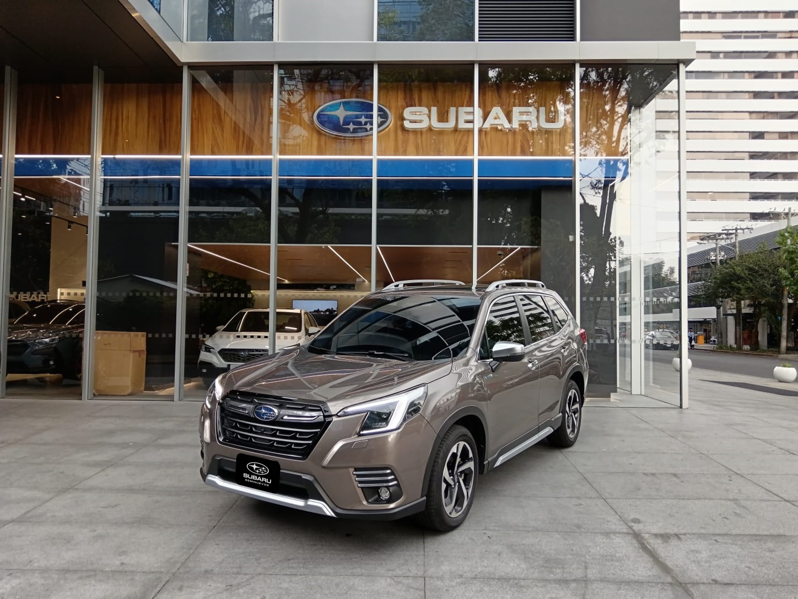 Subaru Seminuevos: Catálogo